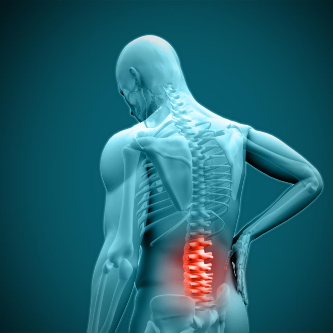 Products To Help Soothe Your Back Pain BuzzyUSA